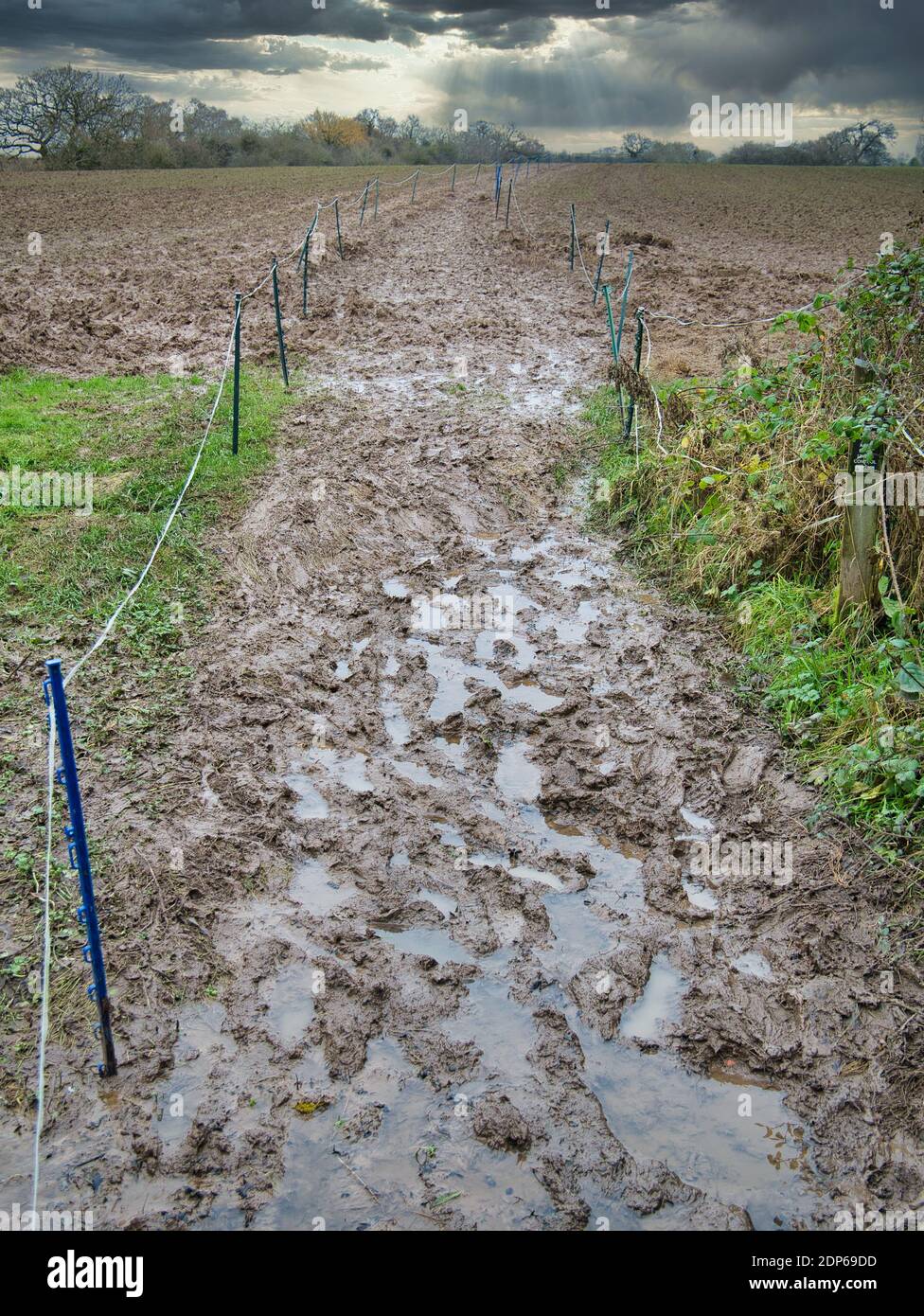 Waterlogged trail hi-res stock photography and images - Alamy