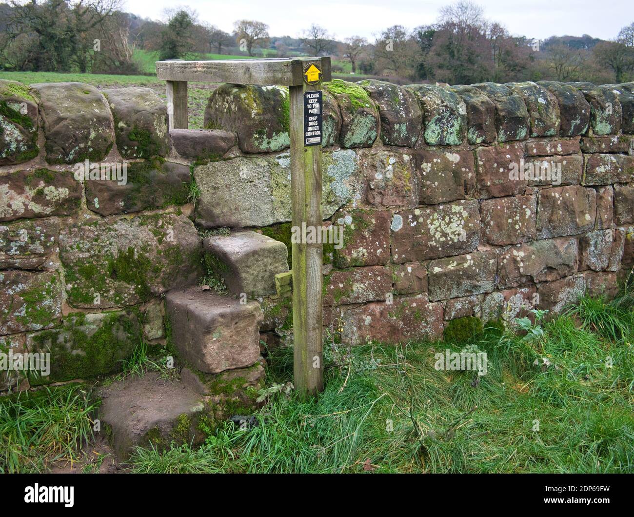 An old stone step stile providing the way over a sandstone field wall ...