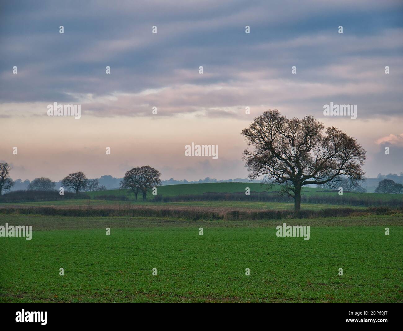 Bleak farm hi-res stock photography and images - Alamy