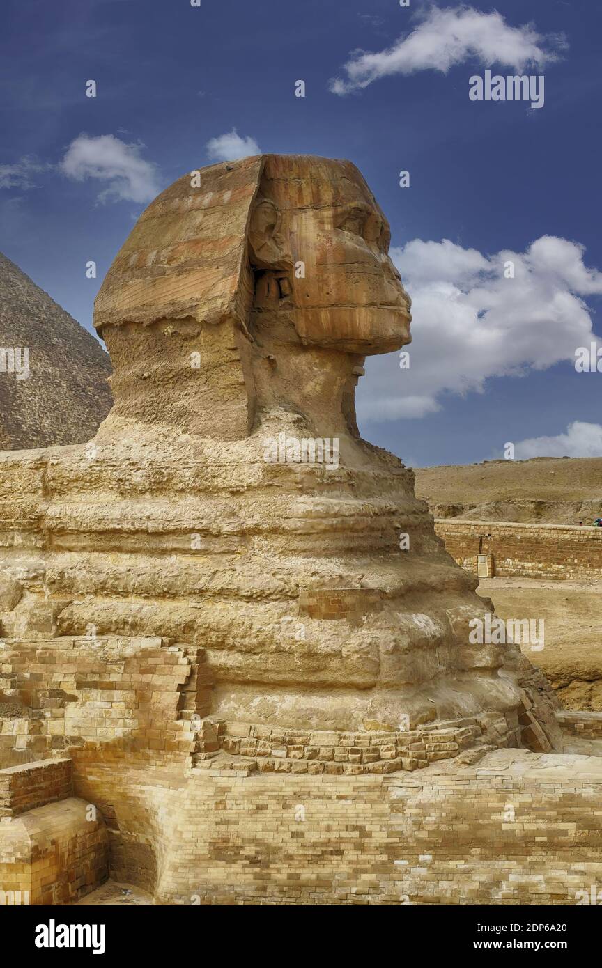 A vertical shot of the side profile of the Great Sphinx of Giza in ...