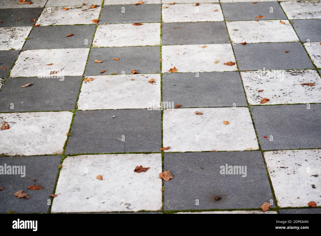 A checkerboard tile flooring covered with dry autumn leaves, seamless ...