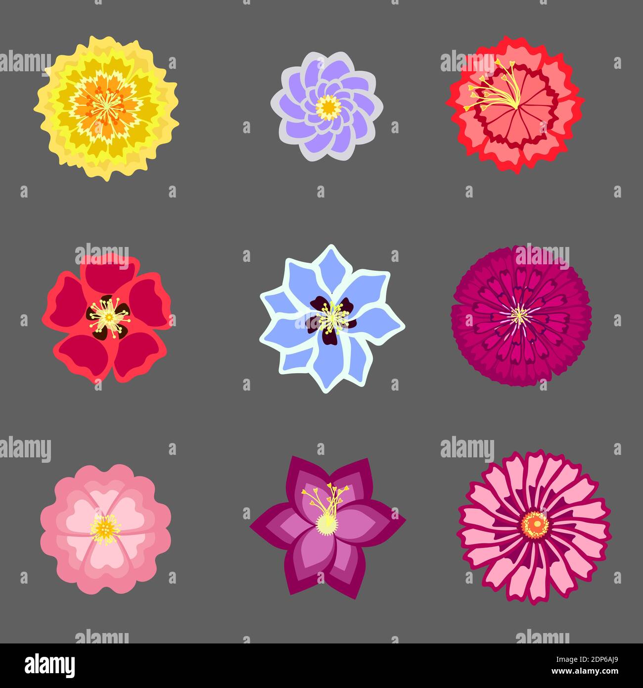 Different plant forms hi-res stock photography and images - Alamy