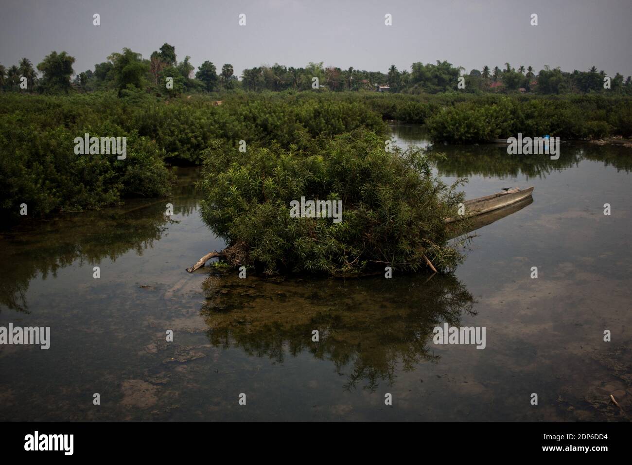 LAO - ENVIRONNEMENT - 4000 ISLAND Portrait of the 4000 Islands ...