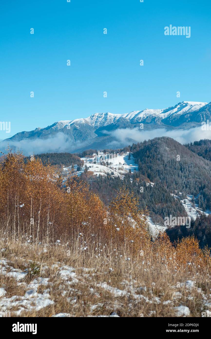 A vertical scenery of a valley with the mountains covered in snowy ...