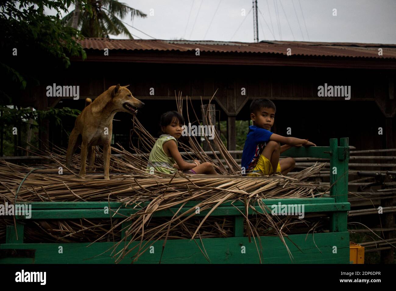 LAO - ENVIRONNEMENT - 4000 ISLAND Portrait of the 4000 Islands ...
