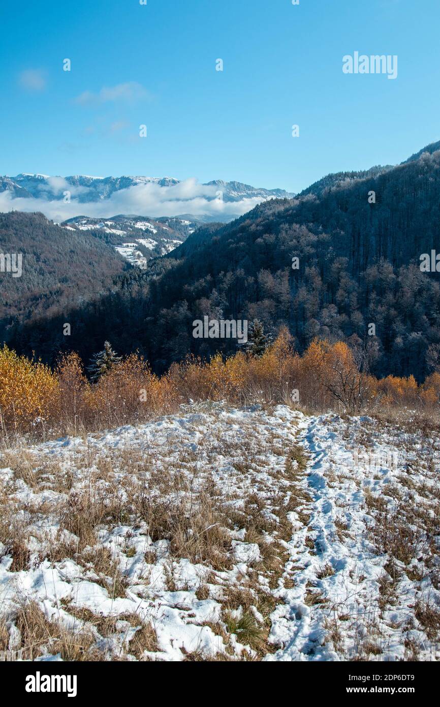 A vertical scenery of a valley with the mountains covered in snowy ...