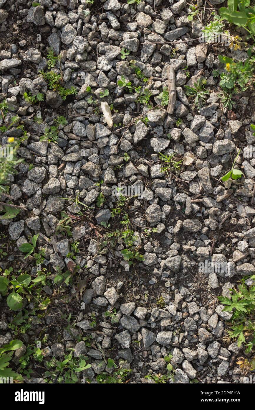 Natural texture with stones, earth and grass Stock Photo - Alamy