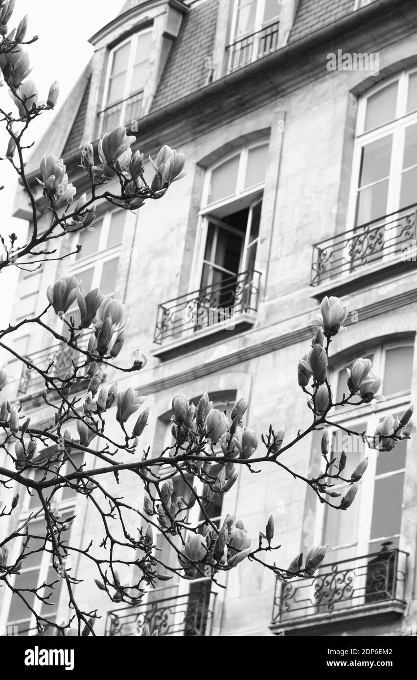 Paris typical old apartment Black and White Stock Photos & Images - Alamy