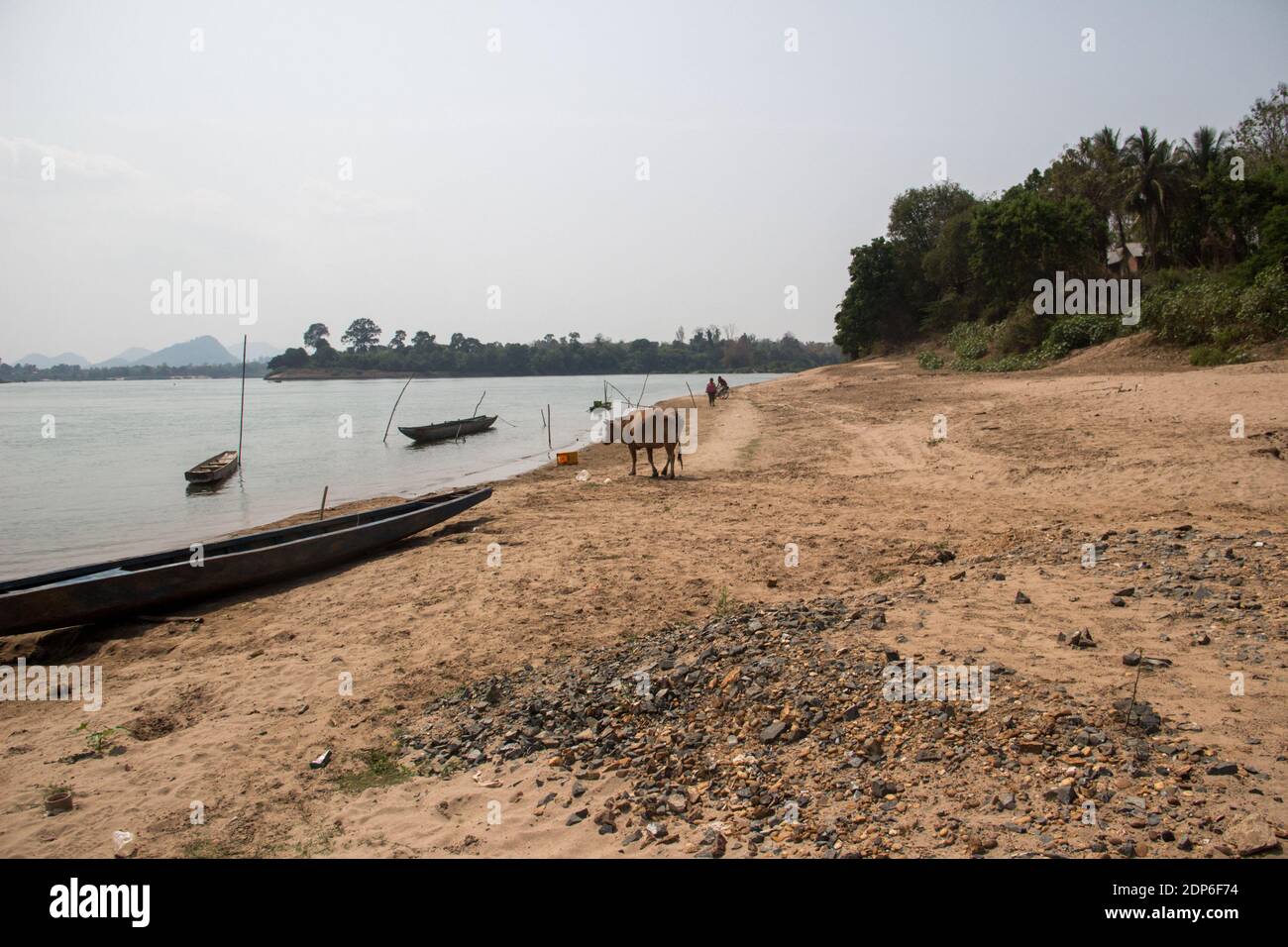 LAO - ENVIRONNEMENT - 4000 ISLAND Portrait of the 4000 Islands ...
