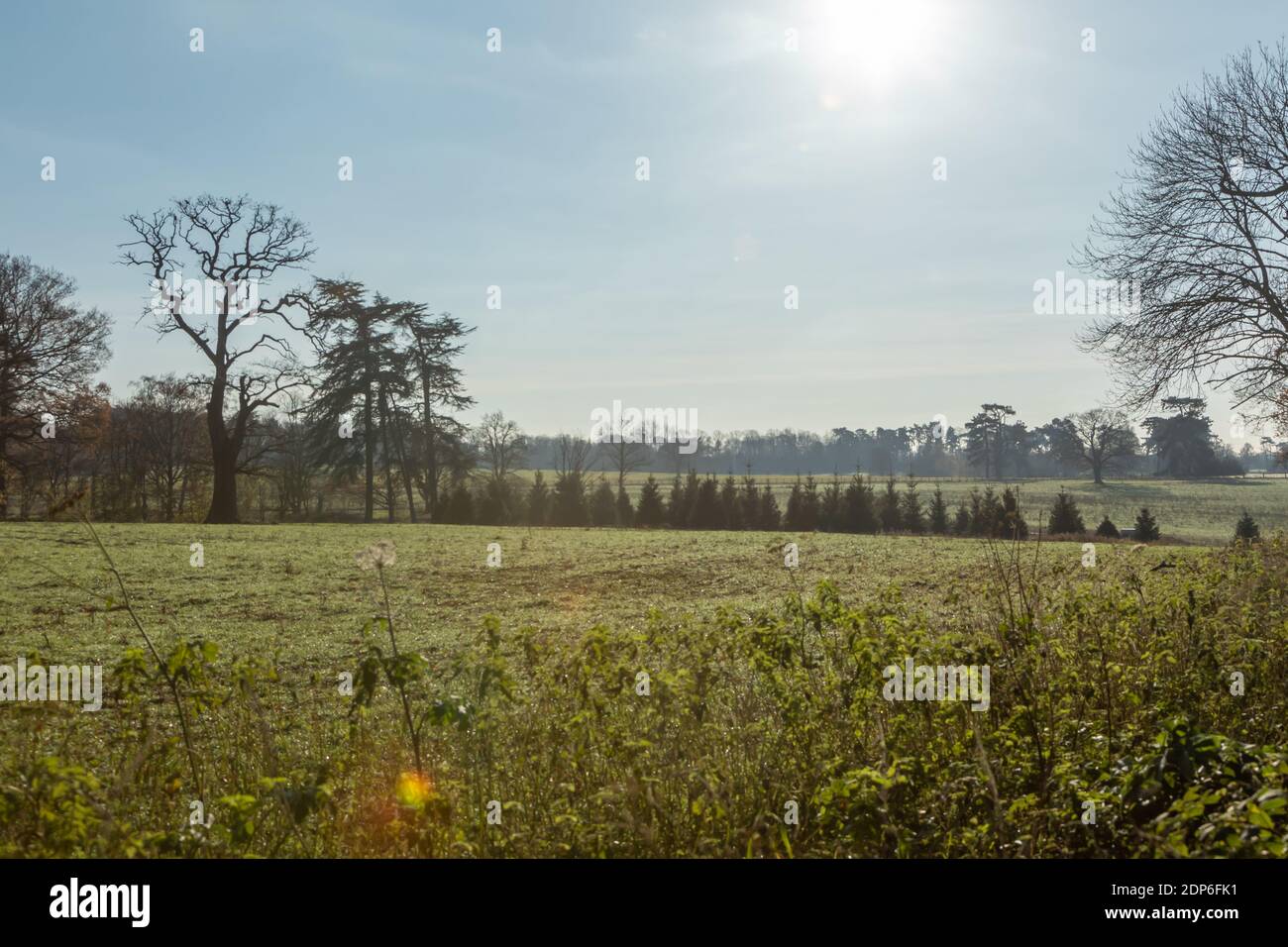 Wintry misty sunshine hi-res stock photography and images - Alamy