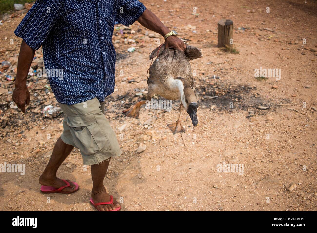 LAO - ENVIRONNEMENT - 4000 ISLAND Portrait of the 4000 Islands ...