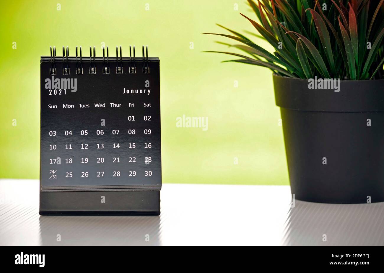 Black January 2021 calendar with green backgrounds and potted plant ...