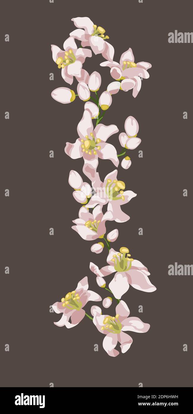 Lemon Cherry Color Background