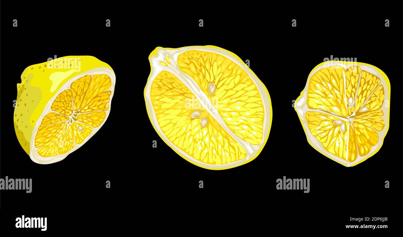 Set with parts of lemon fruit in different forms and shapes. There are ...
