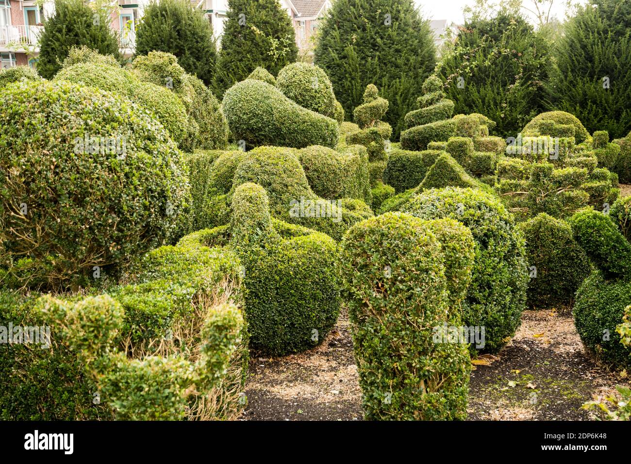 Figures of boxwood Stock Photo - Alamy