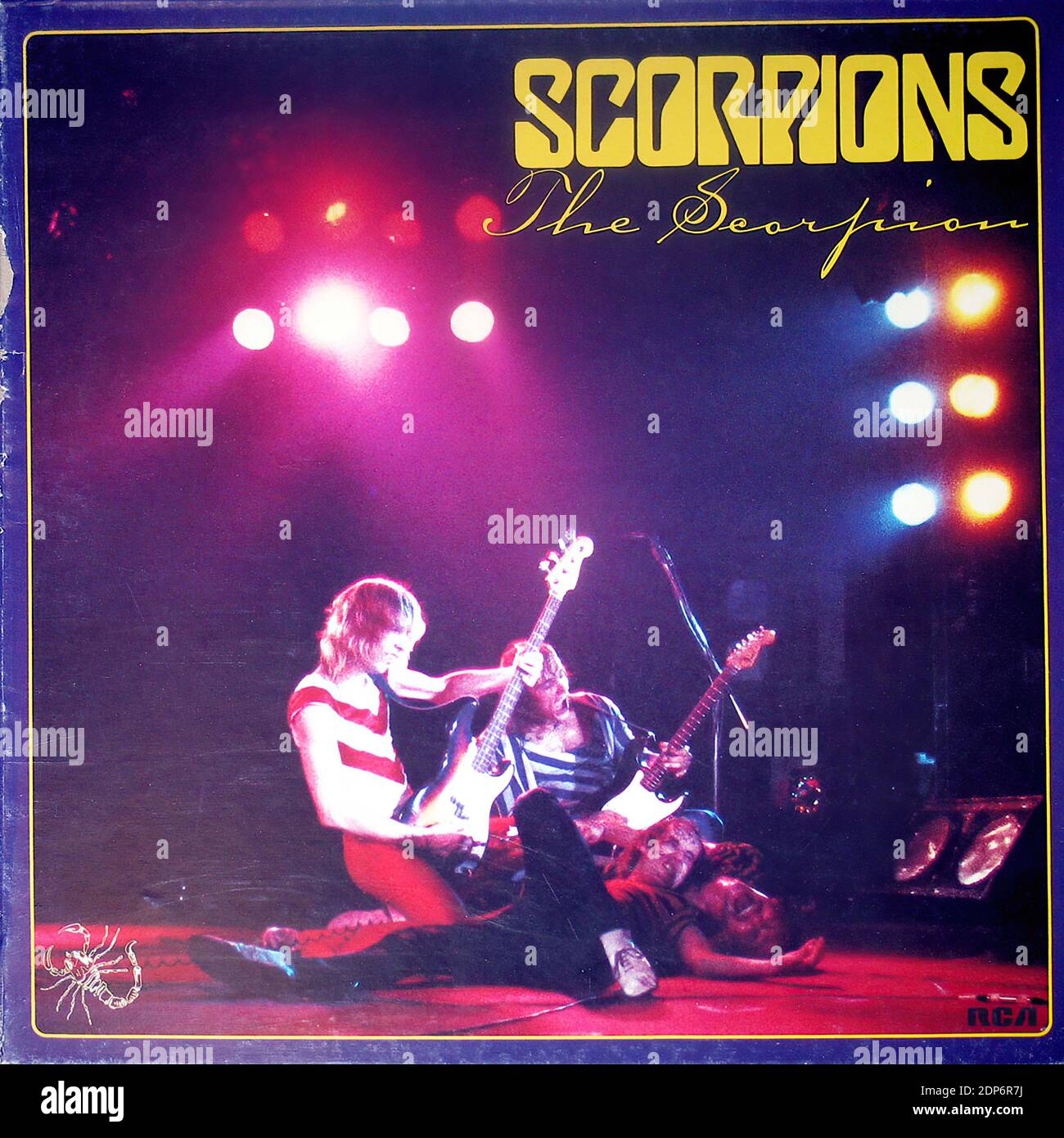 Scorpions set hi-res stock photography and images - Alamy