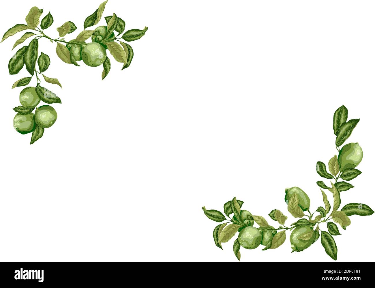 Horizontal A4 Frame with lime and lemon branches in olive green colors ...