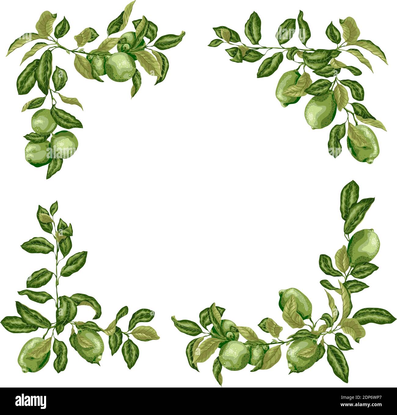 Square Frame with lime and lemon branches in olive green colors on ...