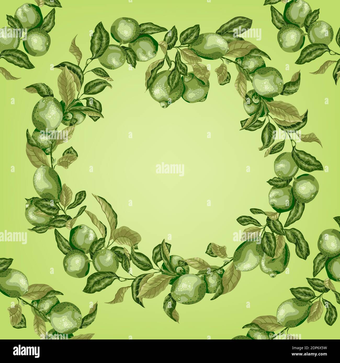 Limes tree Stock Vector Images - Alamy