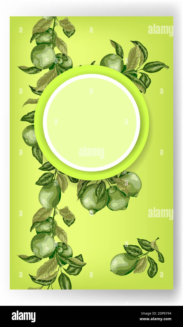 Limes Stock Vector Images - Alamy