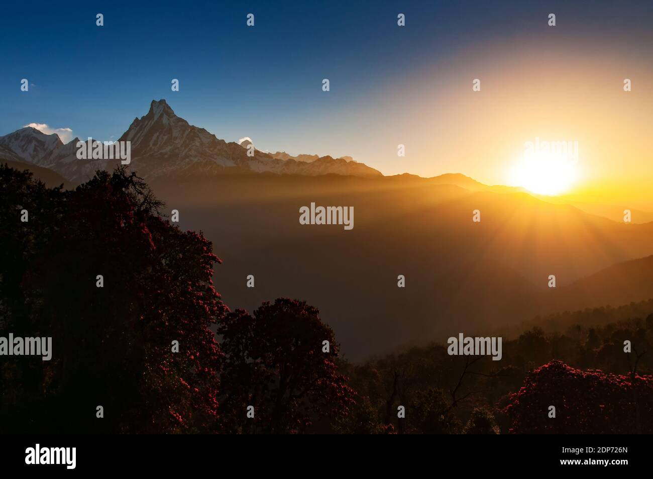 Tadapani village hi-res stock photography and images - Alamy