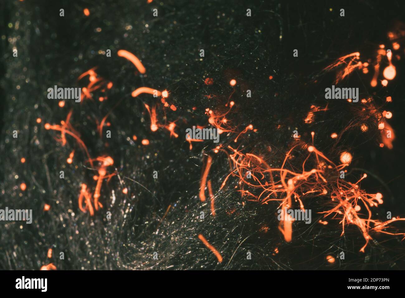 Abstract texture background with sparkling lights Stock Photo - Alamy