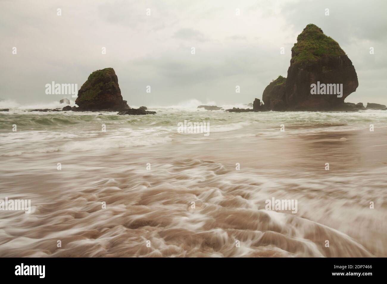 Papuma beach is one of the marine tourism destinations in Jember ...