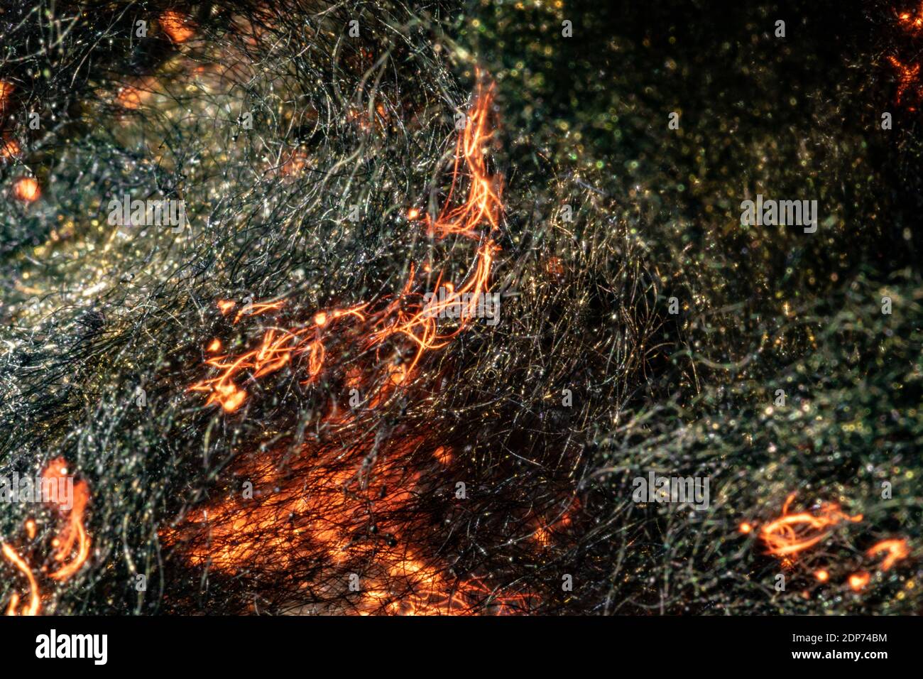 Abstract texture background with sparkling lights Stock Photo - Alamy