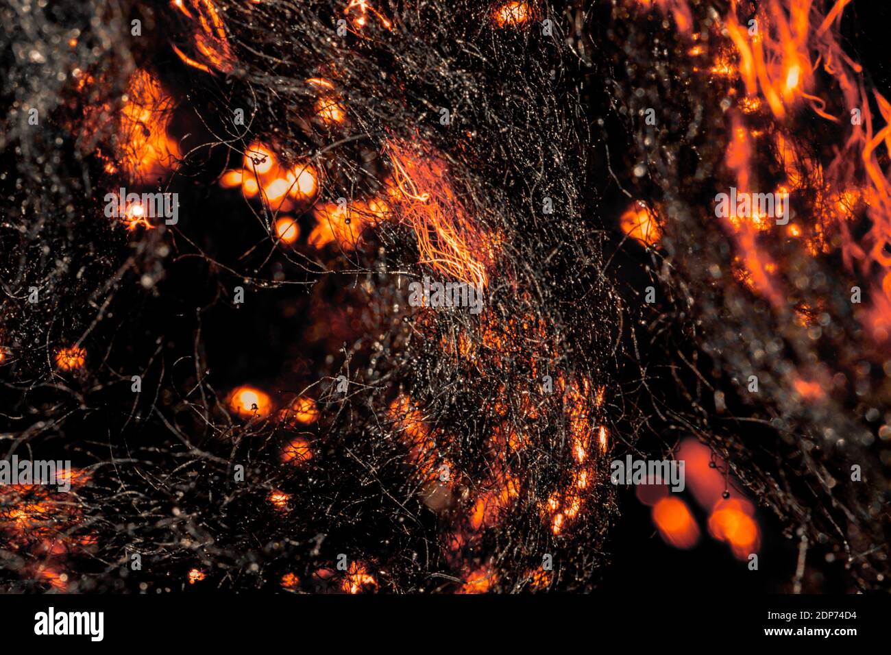 Abstract texture background with sparkling lights Stock Photo - Alamy