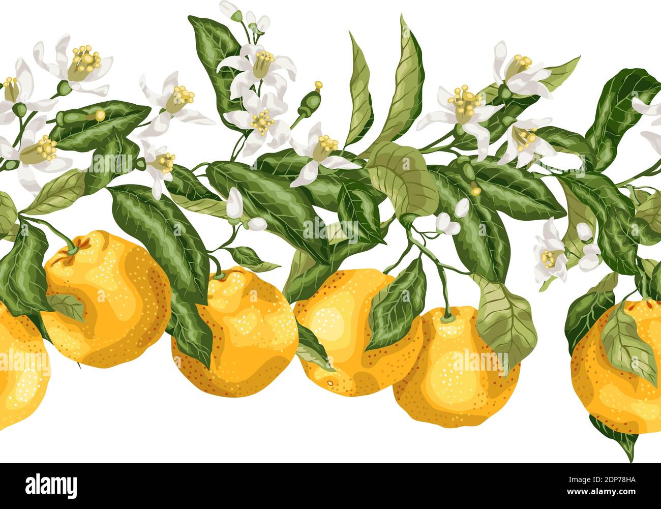 Bloomimg Stock Vector Images - Alamy