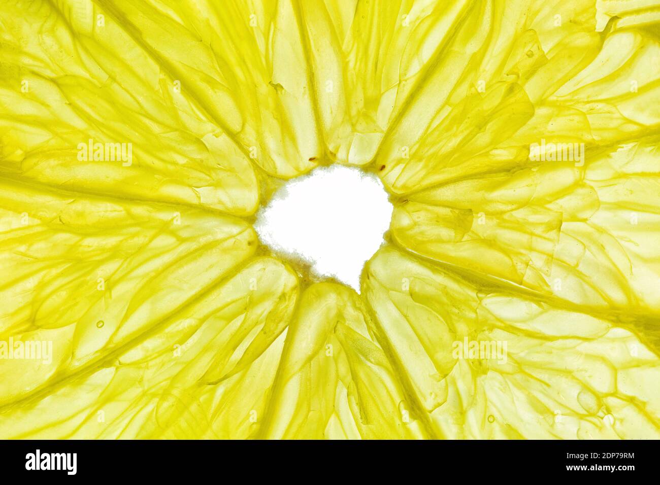 Close-up of a yellow lemon slice isolated on a white background with ...