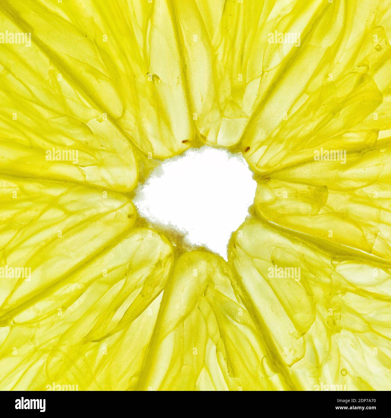 Close-up of a yellow lemon slice isolated on a white background with ...