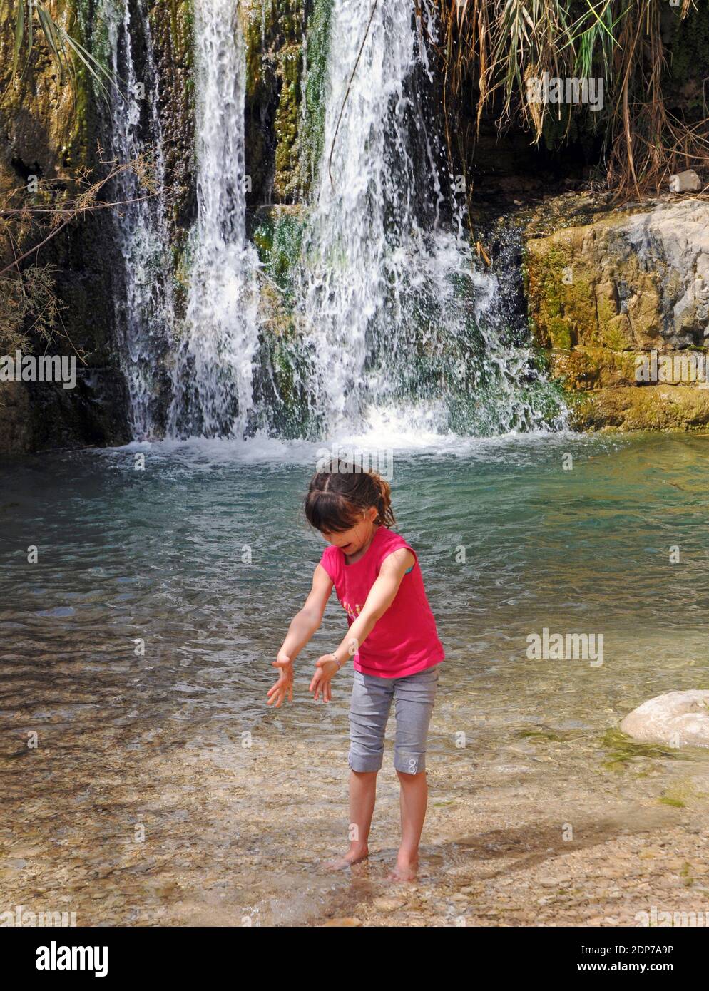 David waterfall, Ein Gedi, Israel Stock Photo - Alamy