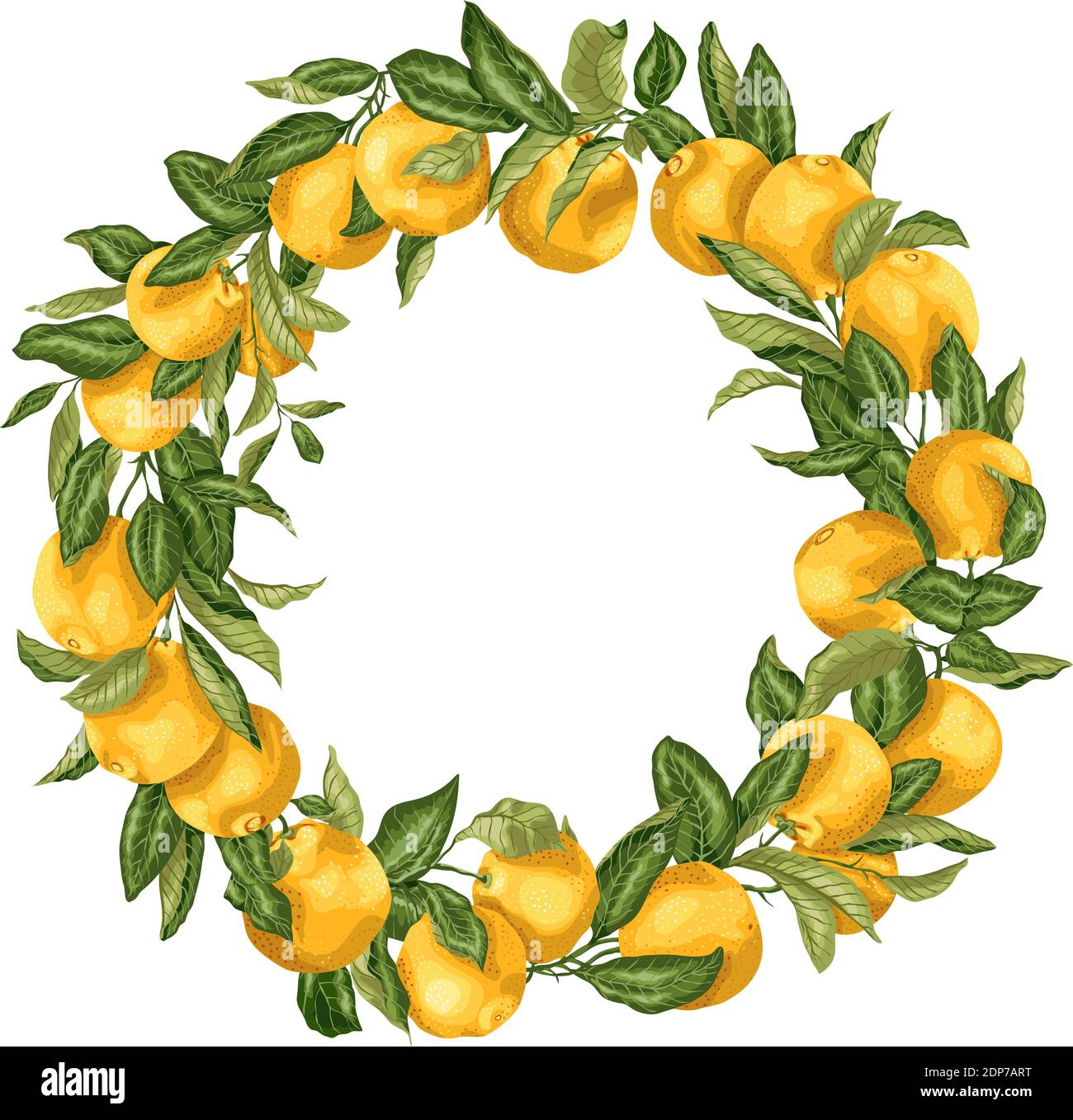 Citrus orange tree ornament wreath with fruits and leaves on the ...