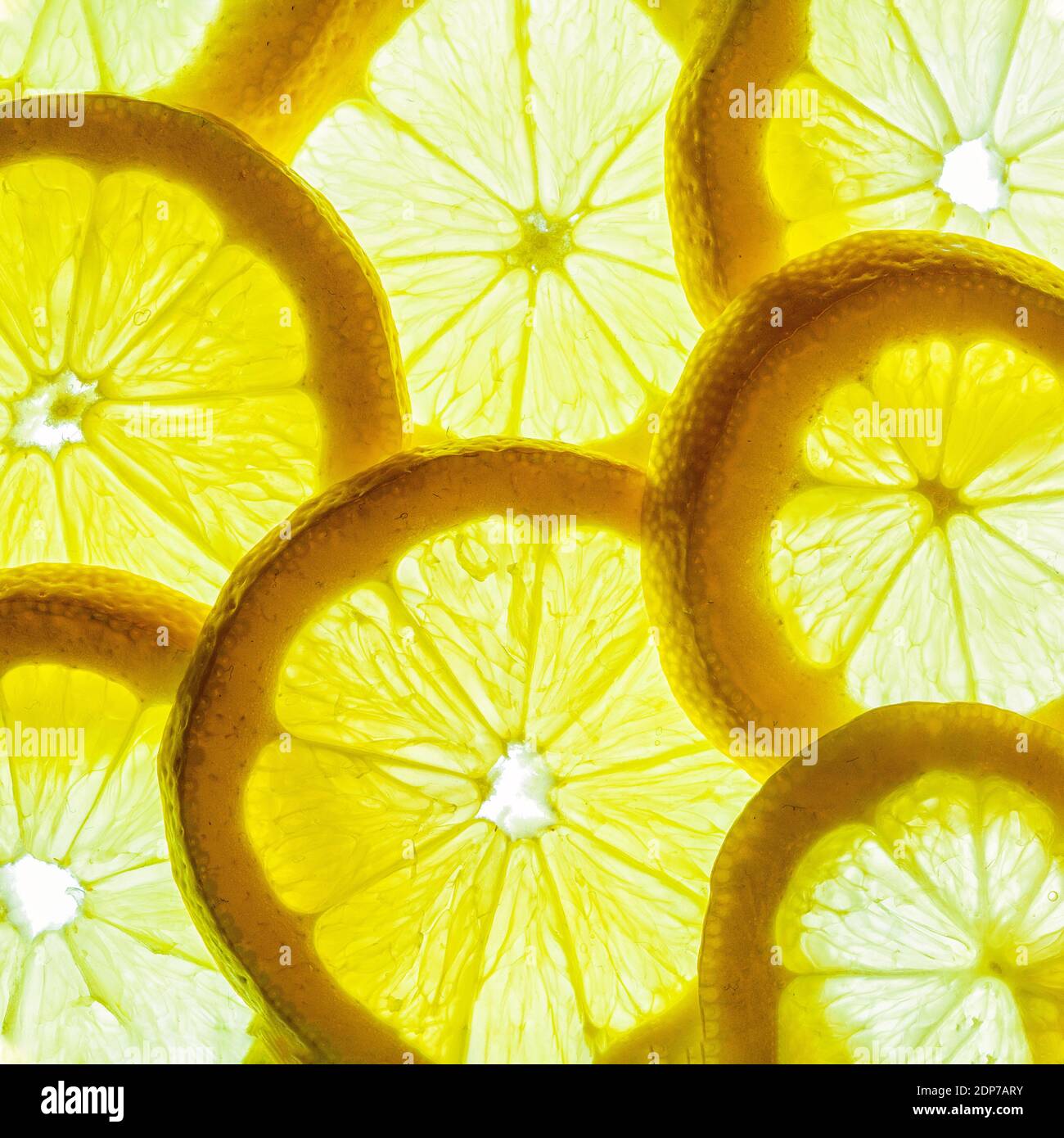 Yellow lemon slices isolated on a white background with top view and ...