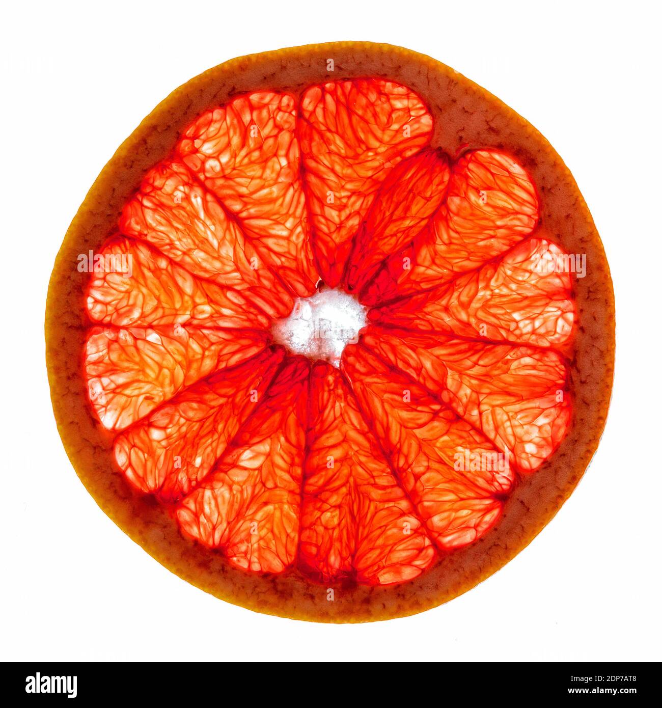 Pink grapefruit slice isolated on a white background with top view and ...