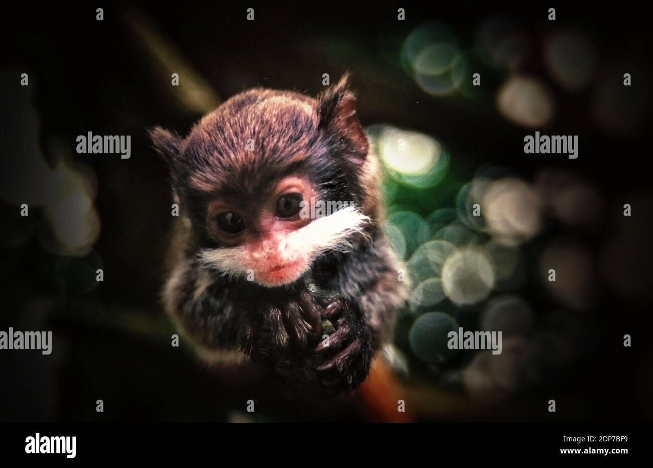 Western part of singapore hi-res stock photography and images - Alamy