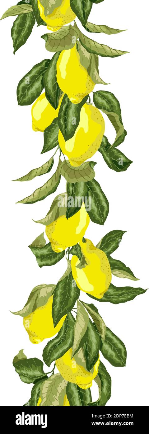 Lemon Tree Vector Seamless Pattern Vertical Line In Vector Graphic