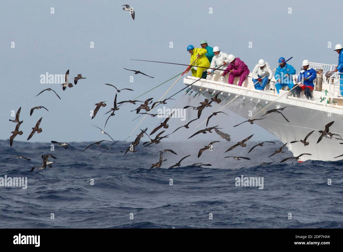 Japan tuna fishing boat hi-res stock photography and images - Alamy