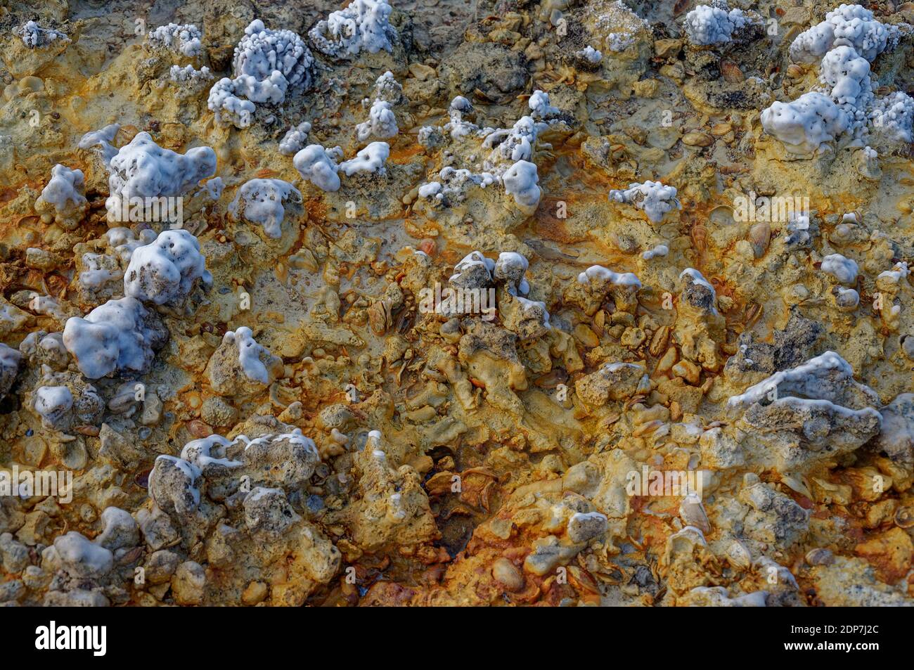 A closeup of salt deposits, shooting from above Stock Photo - Alamy