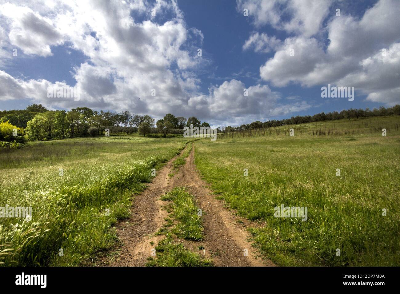 A dirt road in a beautiful and large green field under the white fluffy ...