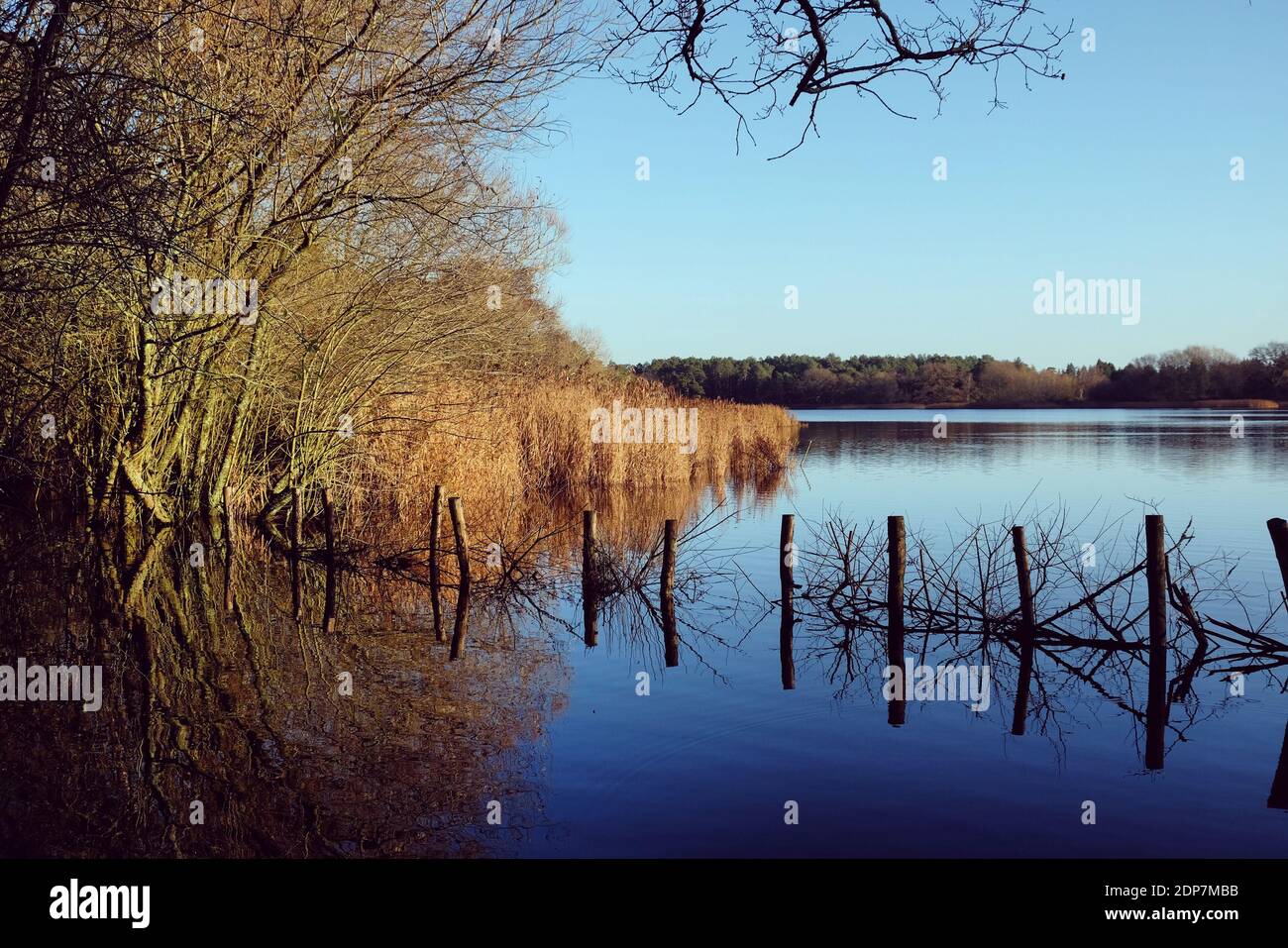 Still water on a large calm lake, during a cold sunny winters morning ...