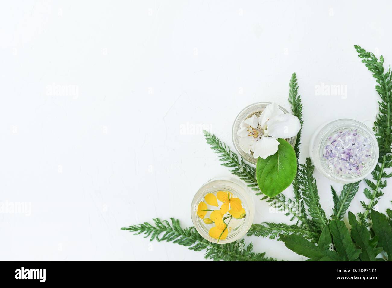 Ingredients for a Homemade Organic Skincare cosmetic, white background ...