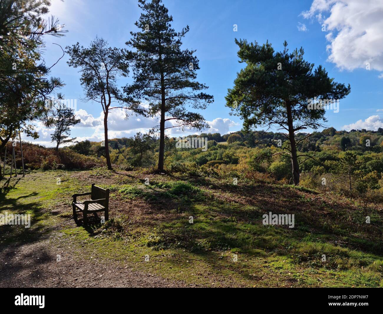 Lickey Hills Country Park, Lickey Stock Photo - Alamy