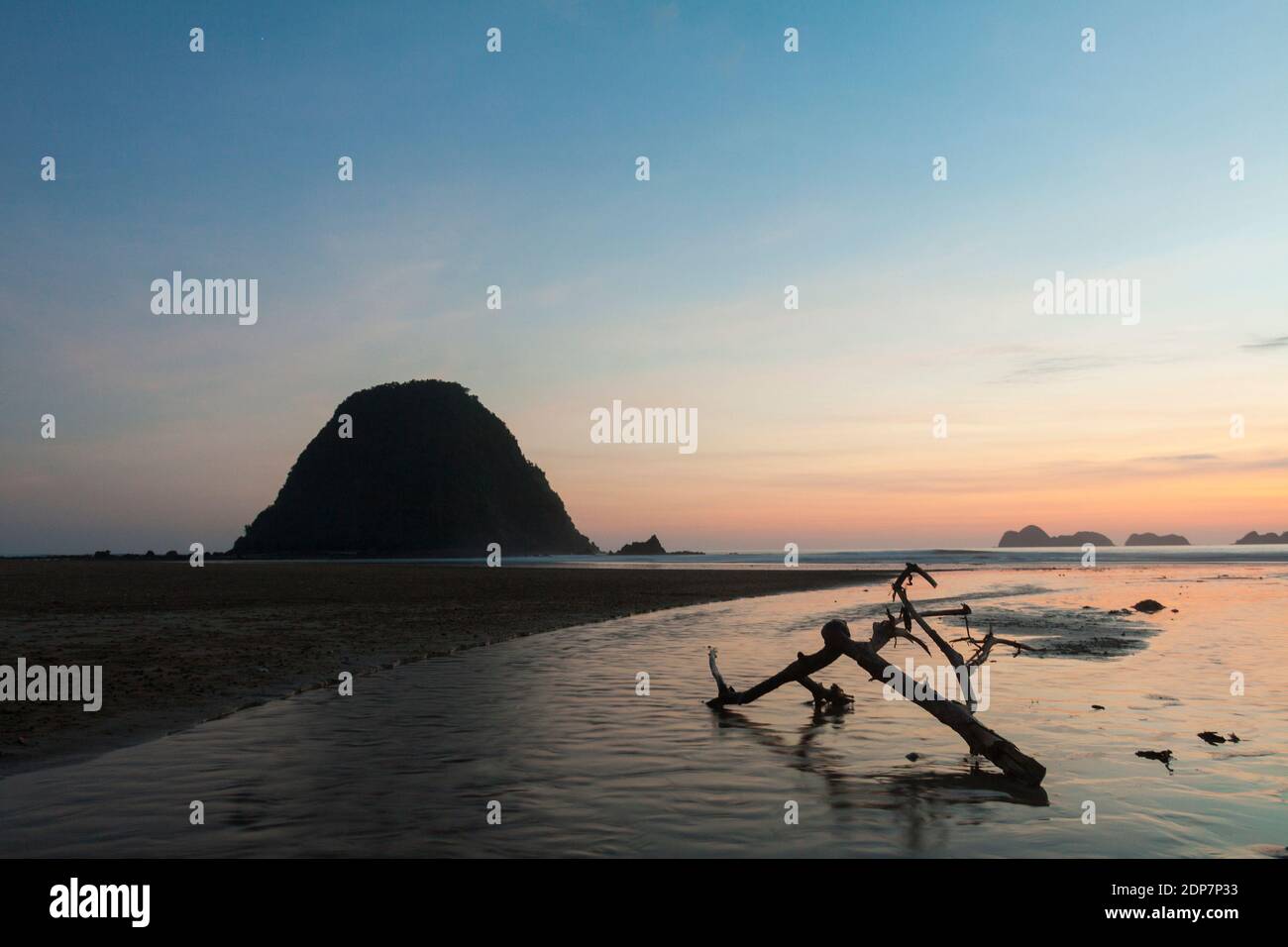 Pulau Merah Beach is one of the tourist destinations in Banyuwangi ...