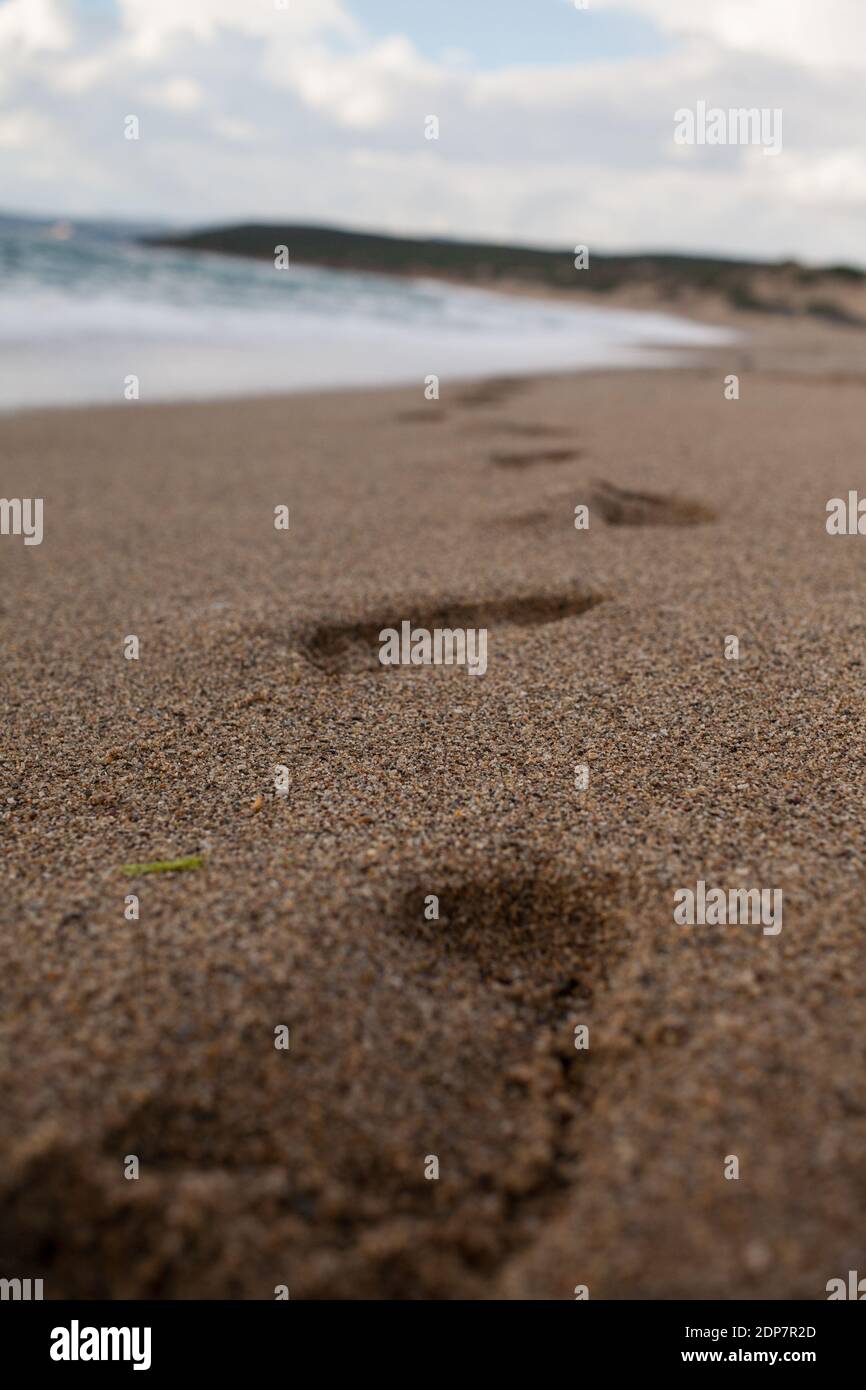 A vertical shot of footsteps on a beach surrounded by the sea under a ...