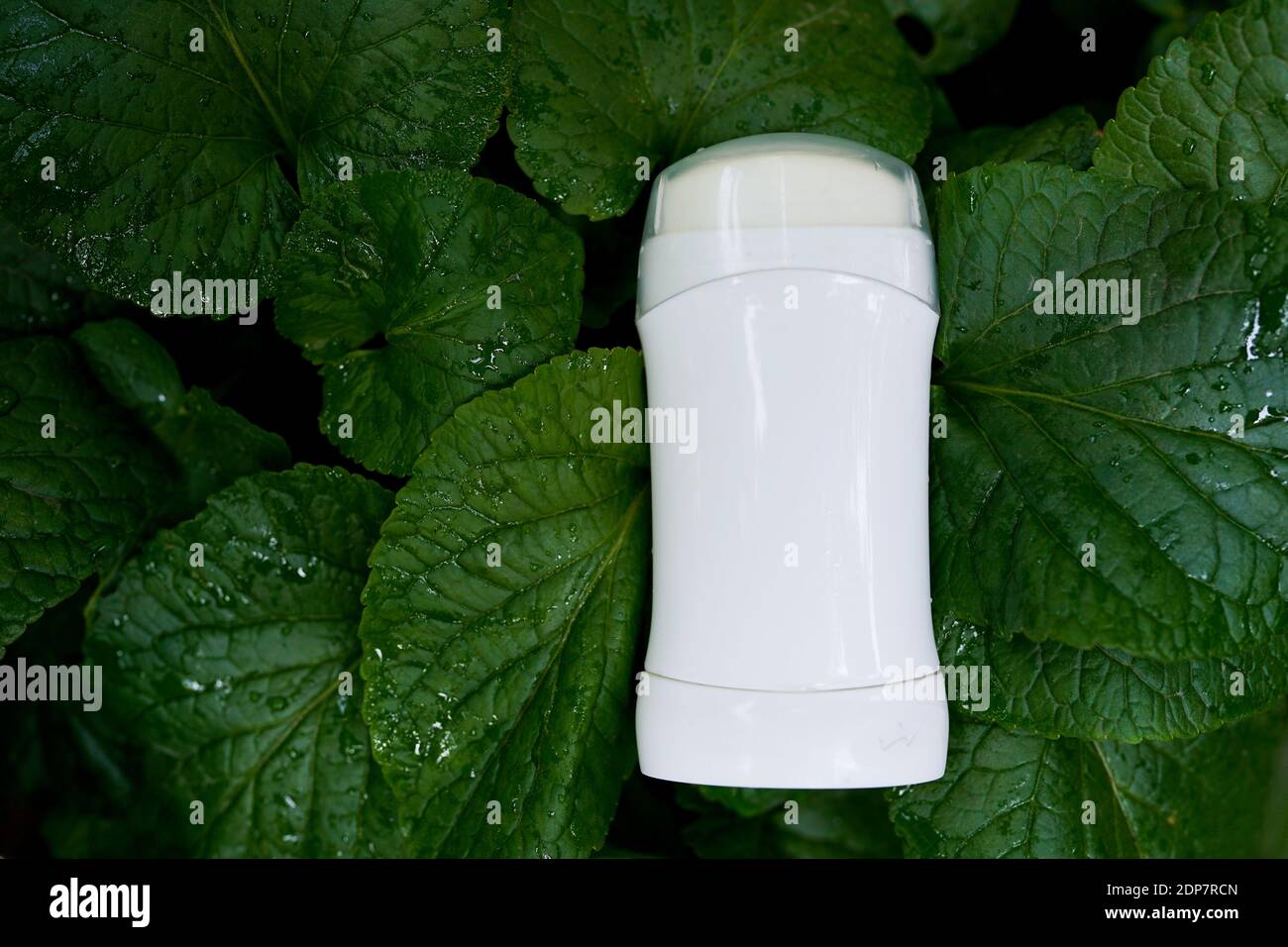 white female deodorant on nature green background Stock Photo - Alamy