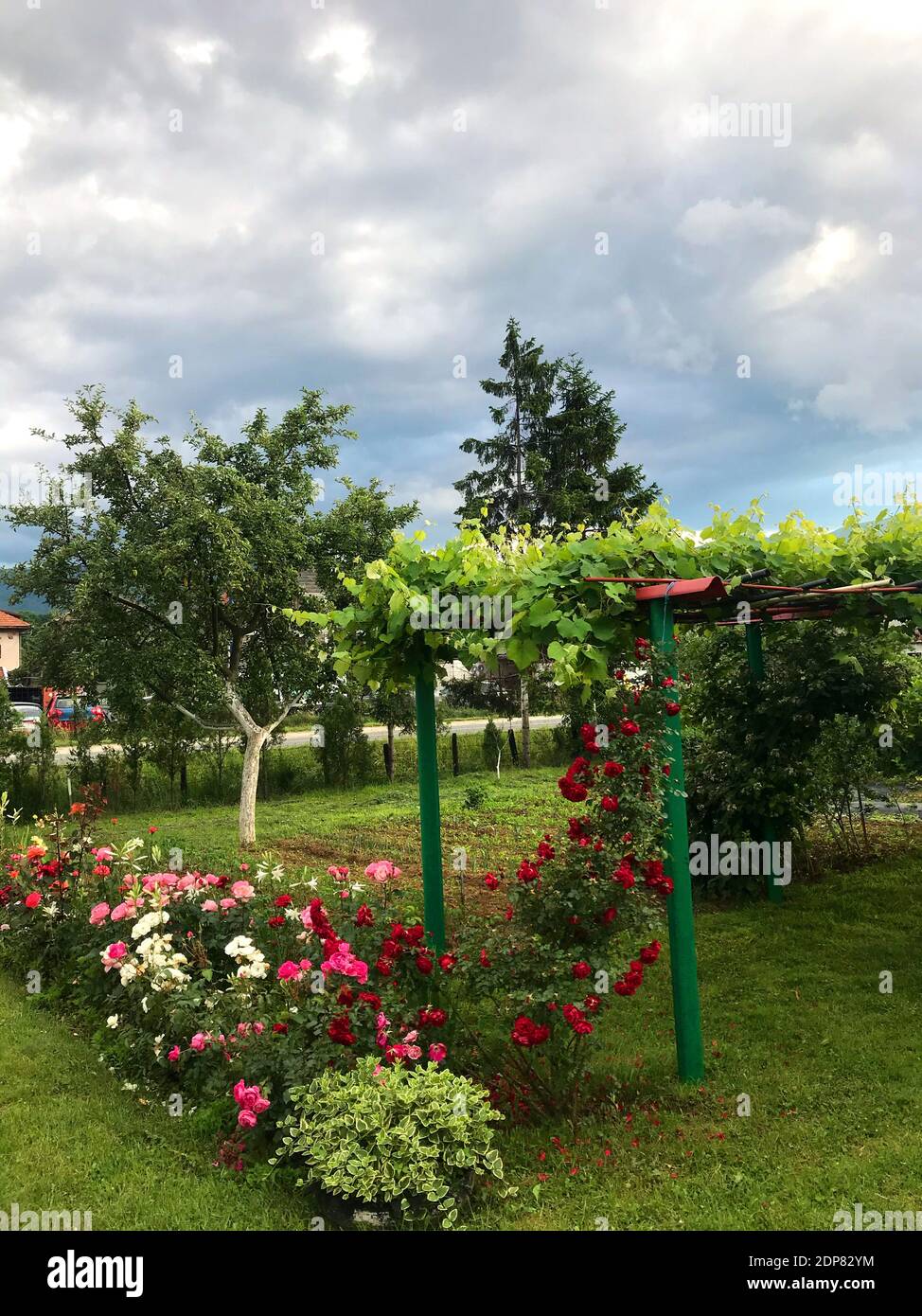 A vertical shot of trees and flowers in a small garden under the cloudy ...
