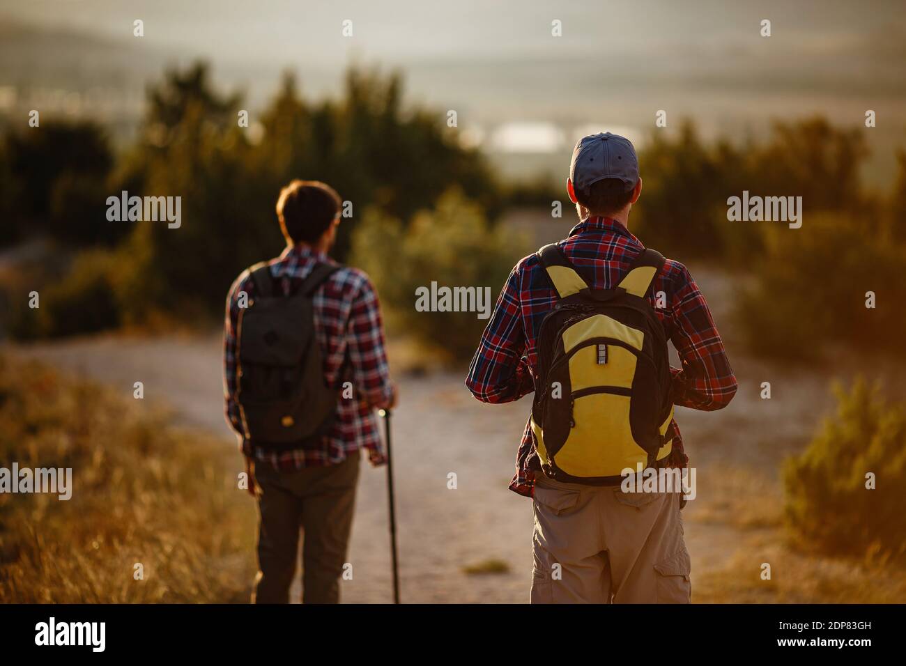 two men hikers enjoy a walk in nature, sunset time in summer. enjoying ...