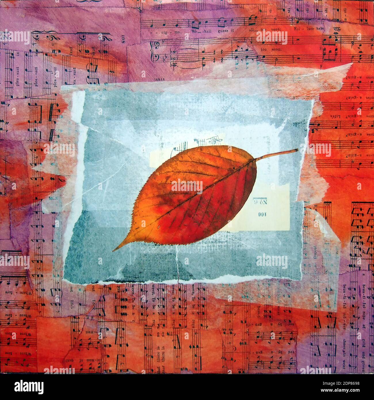 Cranes - Starblood, Fuse, Self Non Self, Dedicated DEDLP003S, 1986 1991 ...